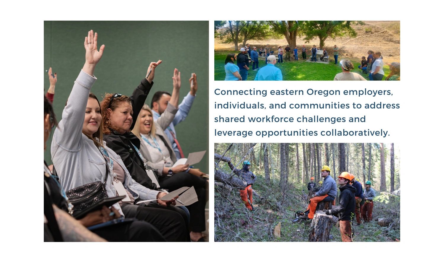 Basic Needs Calculator